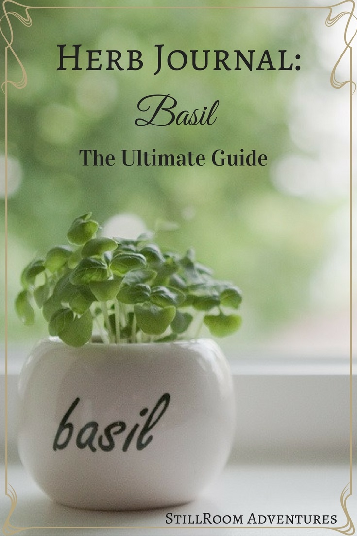 Basil: The Ultimate Guide