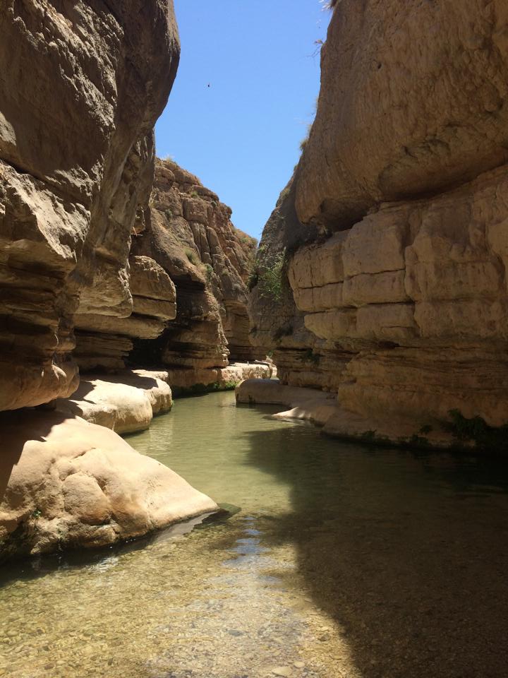 Hiking in Wadi Qelt – Green Olive Tours