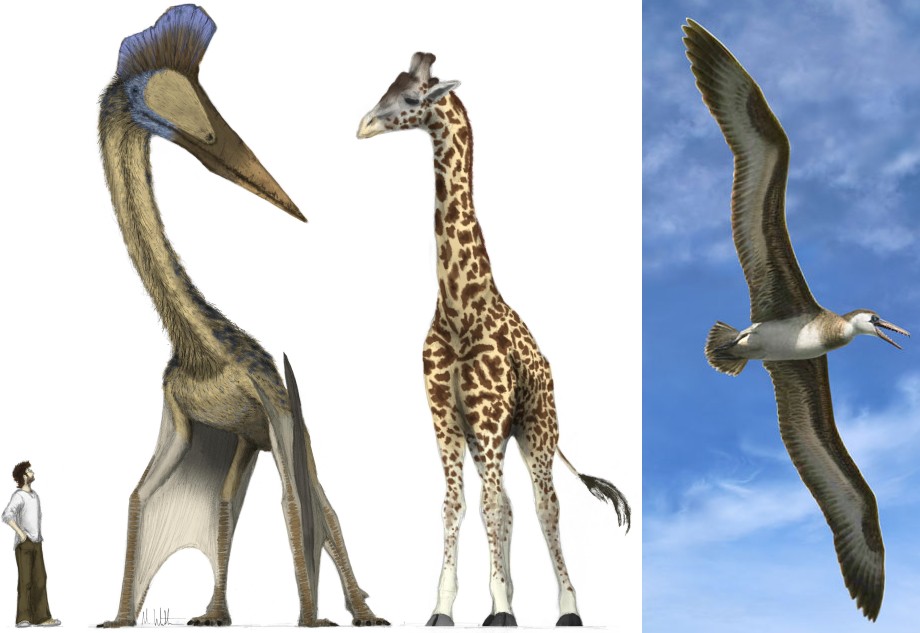 Colganology: June 2012