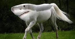 Describe animales imposibles | Cuarto lengua