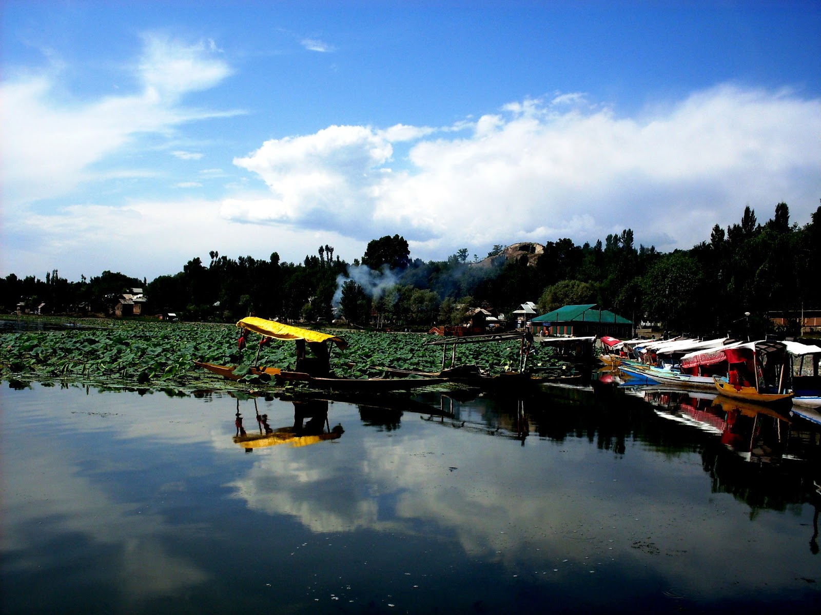CHINAR SHADE : FOUR VIEWS OF MANASBAL LAKE OF KASHMIR AND A QUATRAIN IN ...