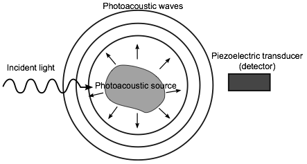 bagustris@/home: PhotoAcoustic Imaging and its Application