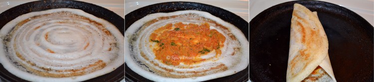 Spicy Treats: Tomato Roast/Tomato Dosa