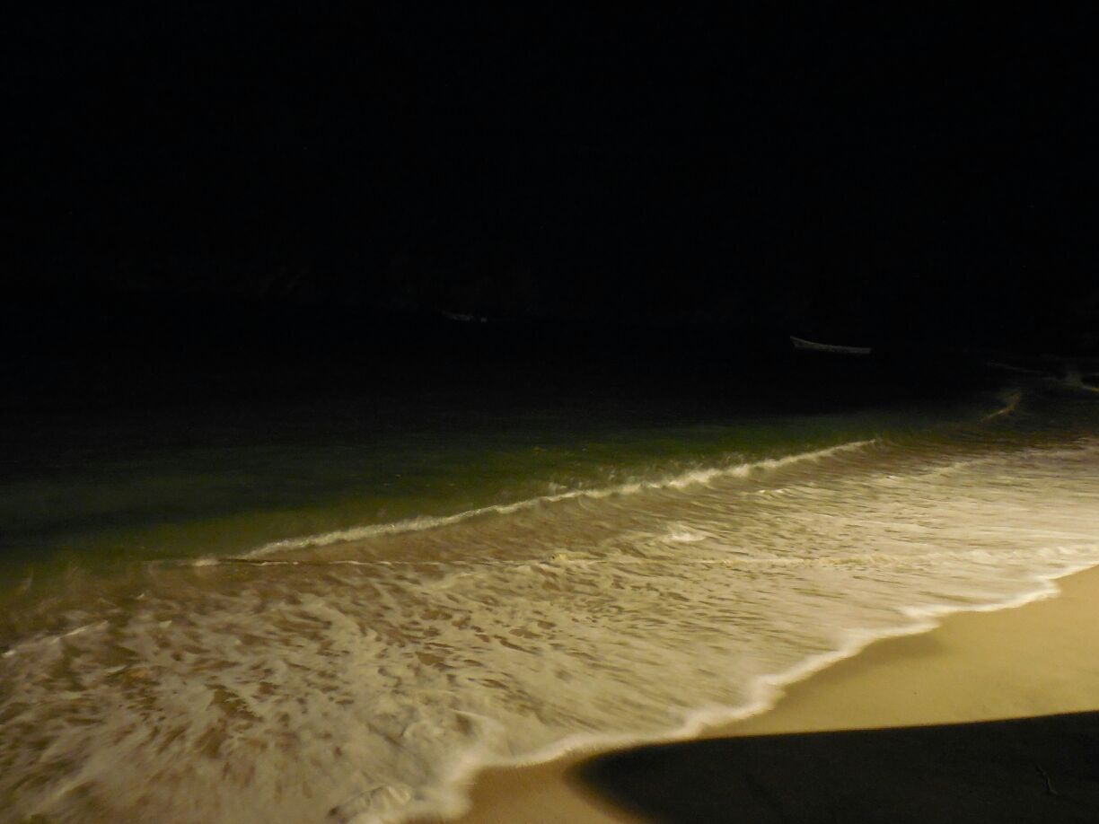 Andando por Venezuela: Choroní (Playa Grande) - Tuja