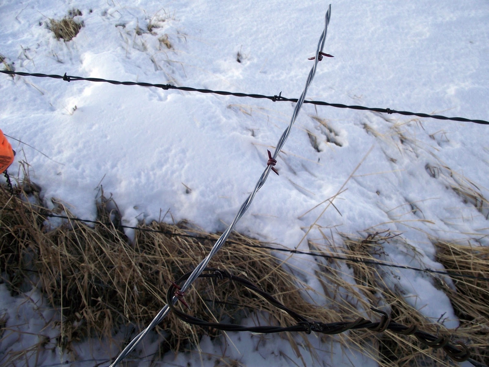 Life With the Goodwife: Life on the Ranch......Fixin Fence........