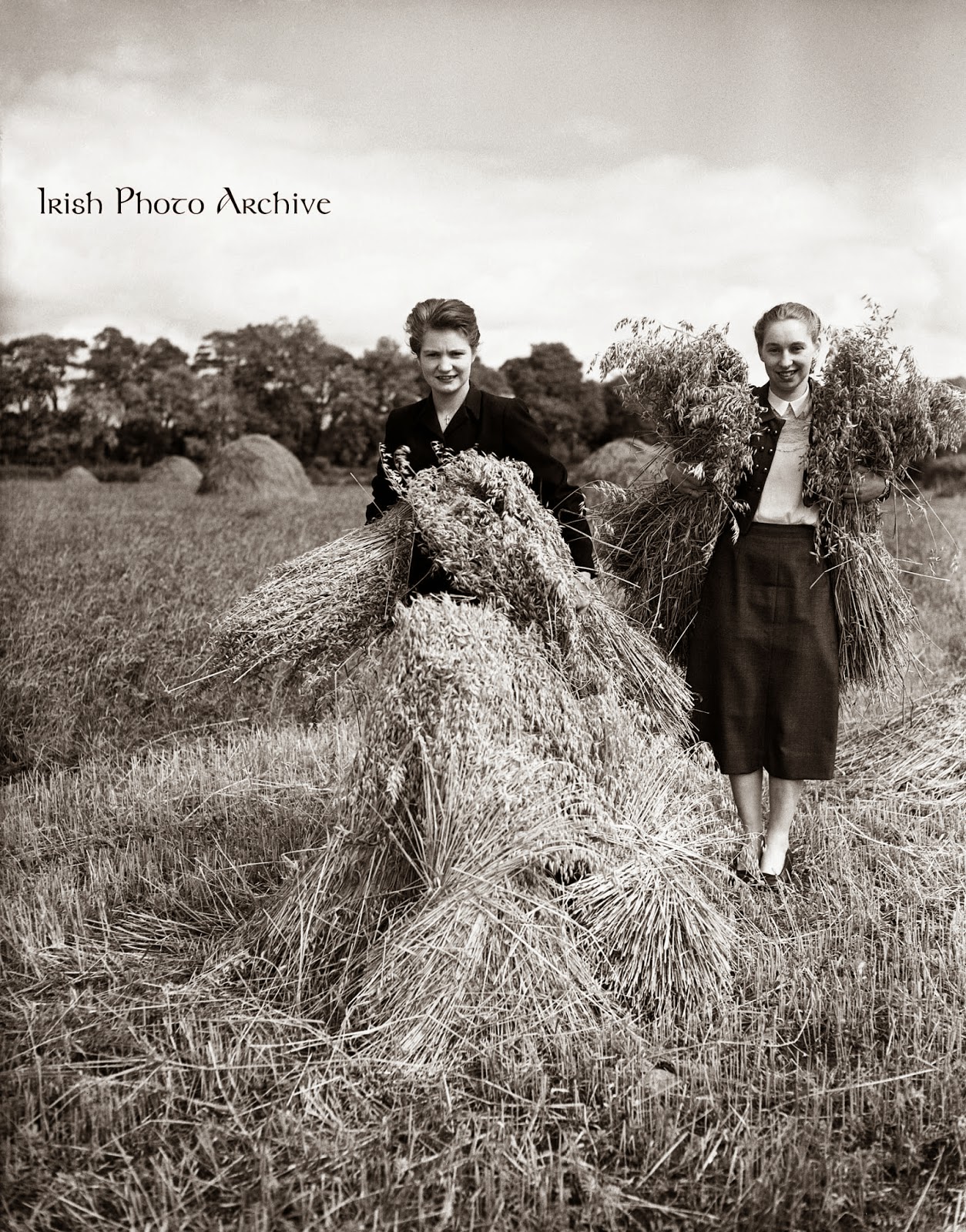Irish Photo Archive: Making hay