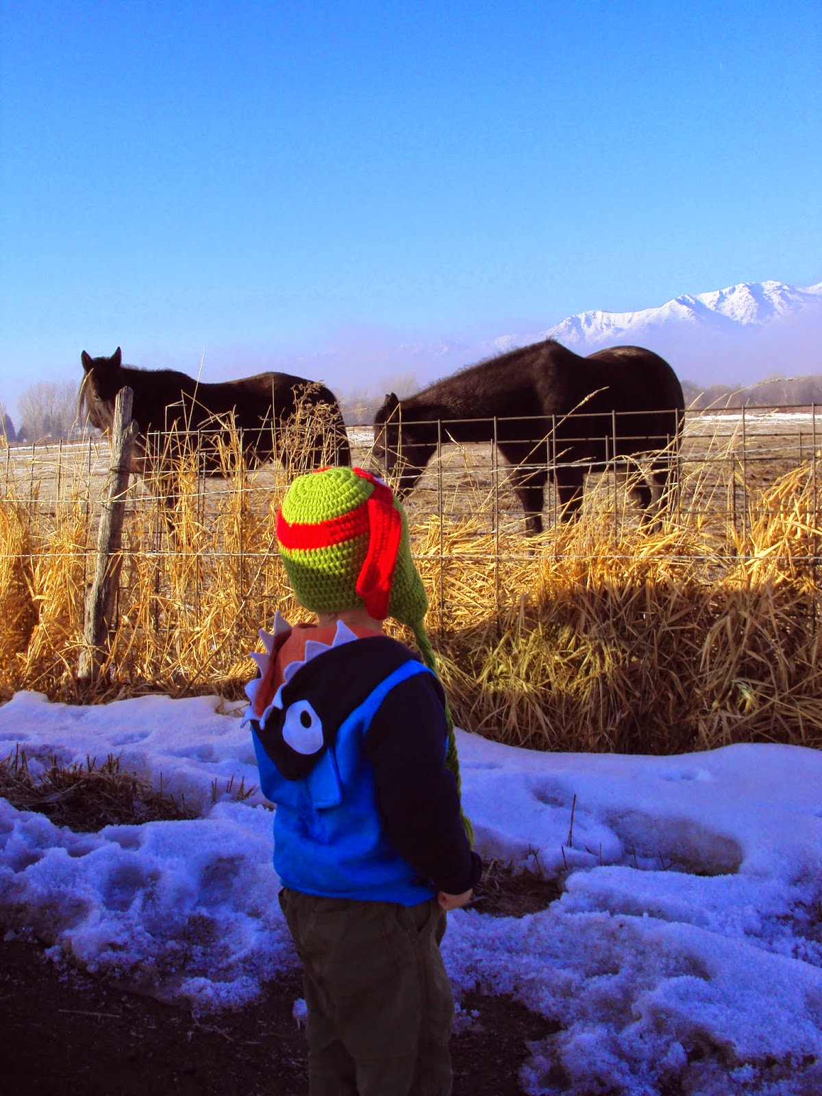 {Happy Chippy Junk}: Sunshine!