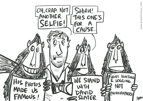 Green Humour: David Slater and the Celebes Macaque