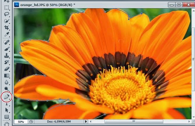 Tutorial Photoshop Efek Color Splash Hitam Putih | Psd48