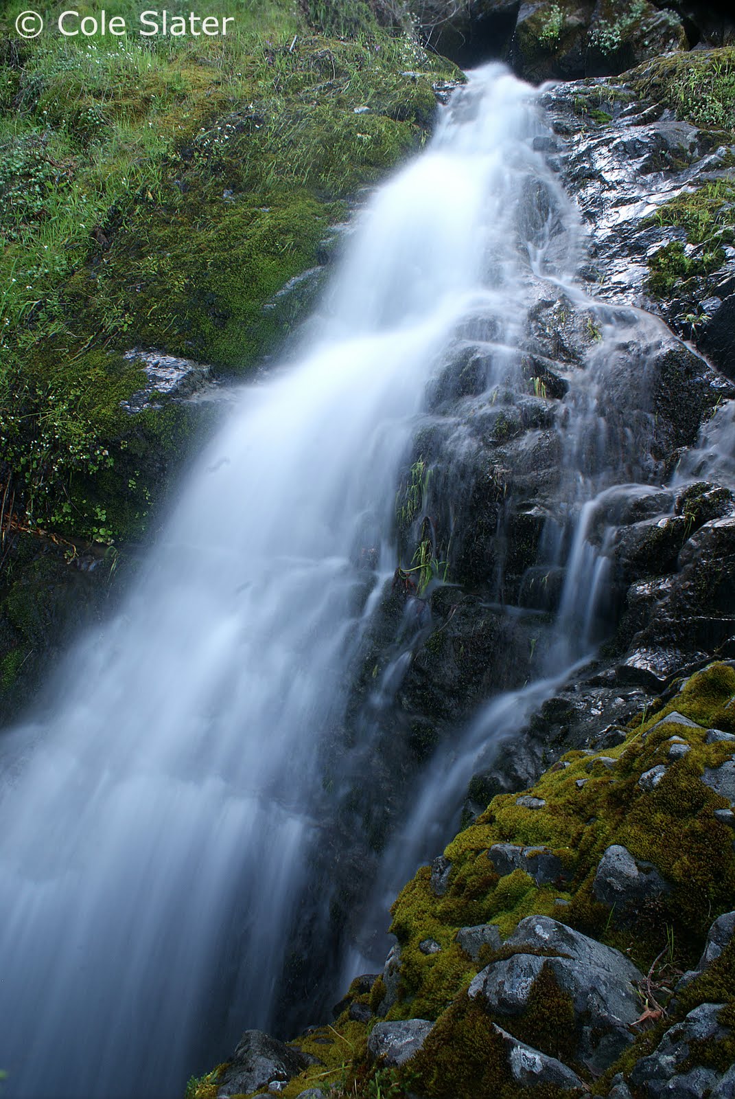 Cole's Trail Tales: Marin Waterfall Hike - Arroyo de San Jose Falls - 3 ...