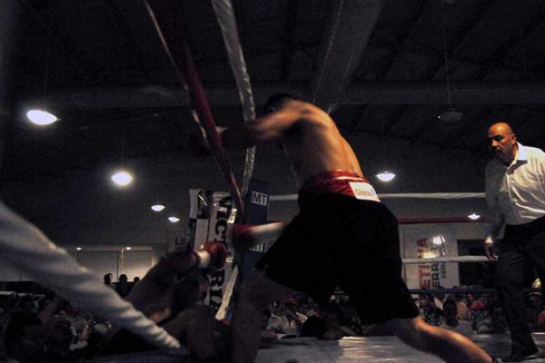 Ojo Boxistico Durango: RICARDO ALACRAN ALVARADO GANA POR BRUTAL KO A ...