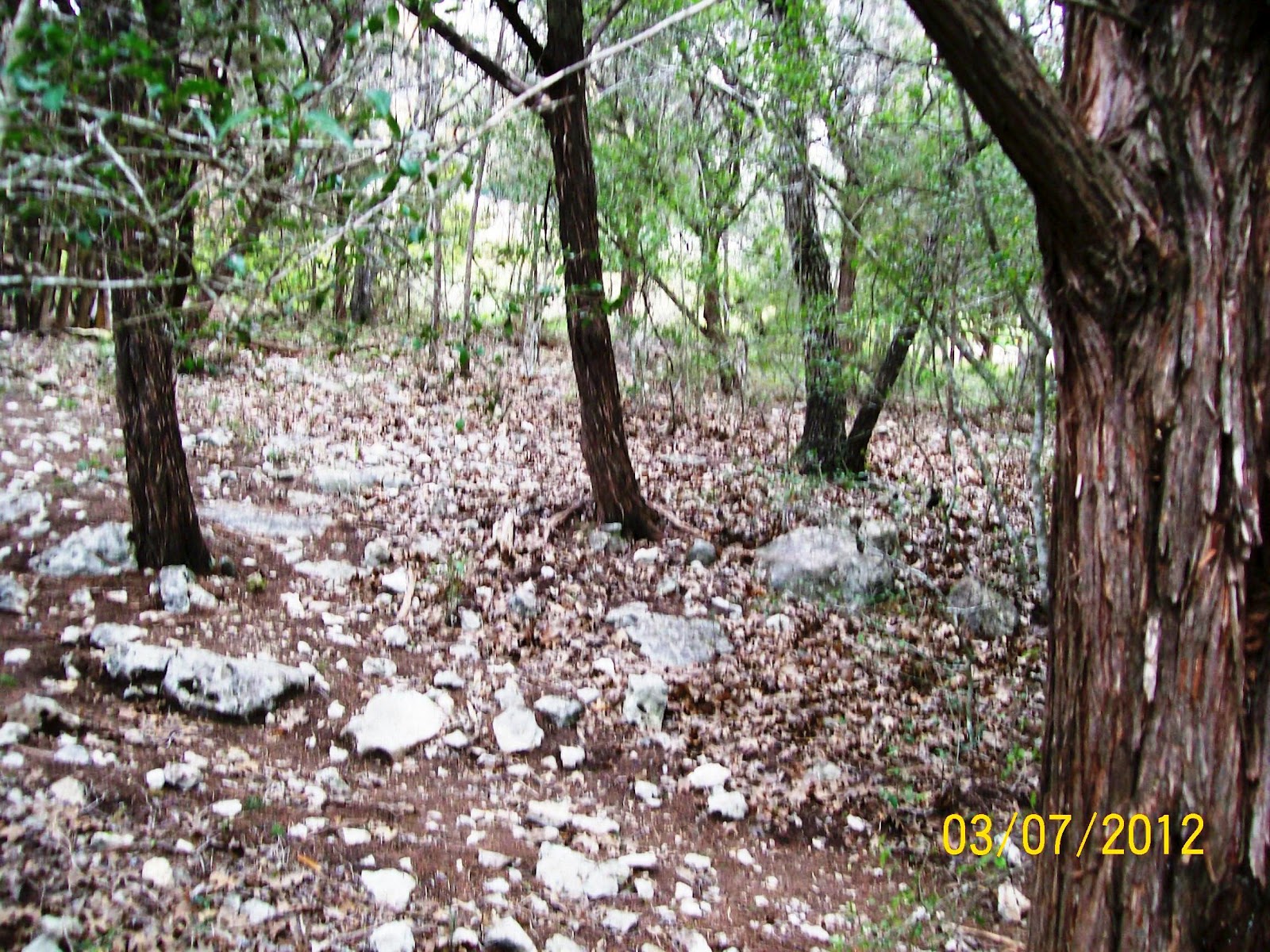 Rockhounding Around: The Austin Chalk