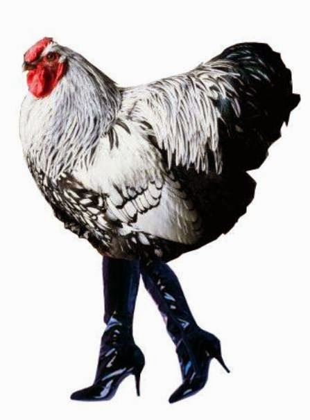 Memorias 24: El gallo con botas