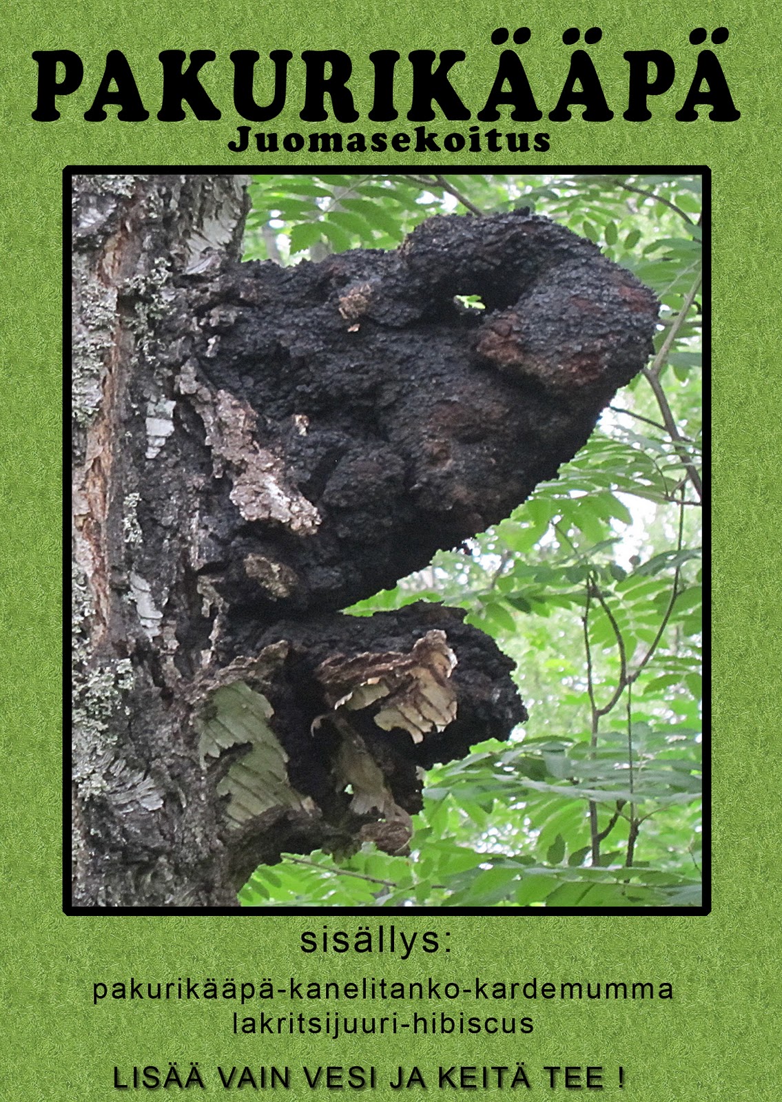 Jake Joogi: Pakuria syyshinnoin