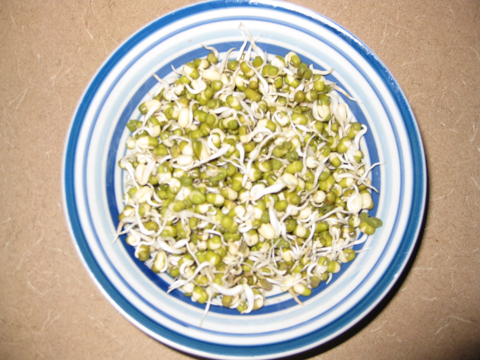 Authentic Indian Recipes: HOW TO SPROUT MOONG BEANS