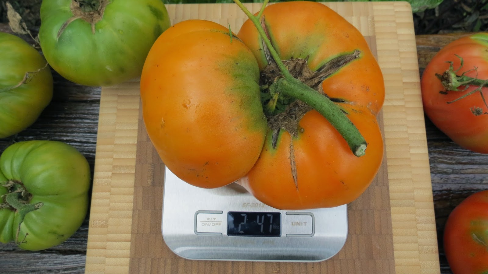 The Rusted Vegetable Garden