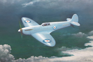 R J Mitchell and Supermarine: R. J. Mitchell's Spitfire – a Close Run Thing
