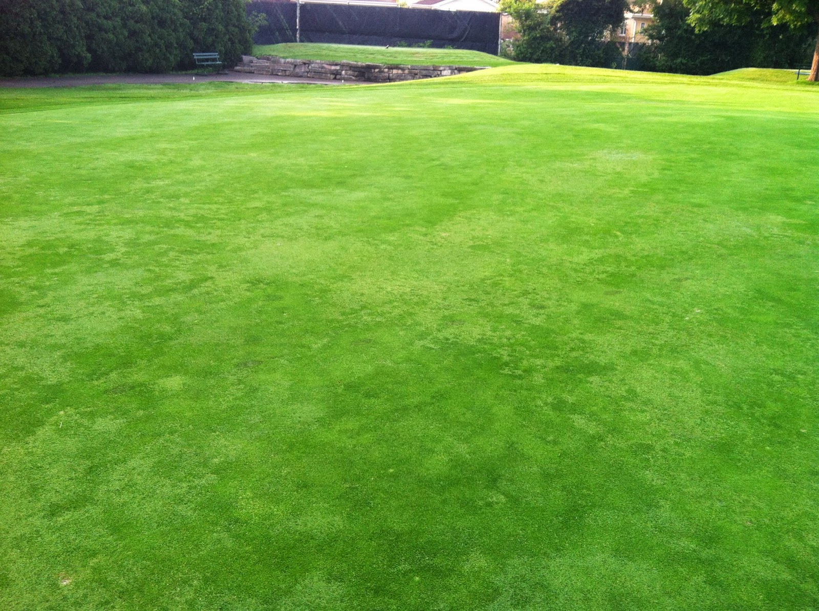 Ridgemoor Country Club Golf Course Maintenance: Before & After
