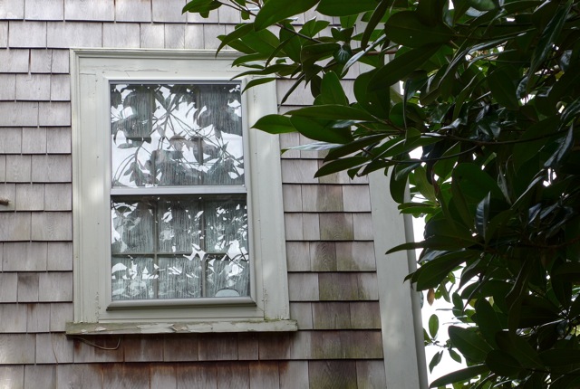 Year of the Labbit: The Home of Edward Gorey