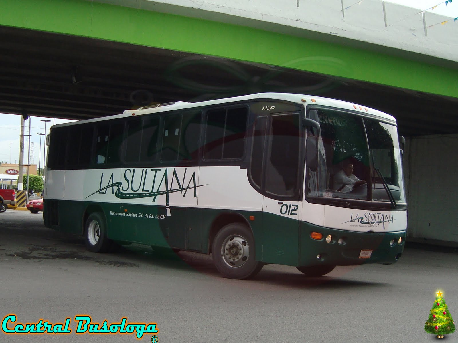 o.OCentral BusologaO.o°•: La Sultana.