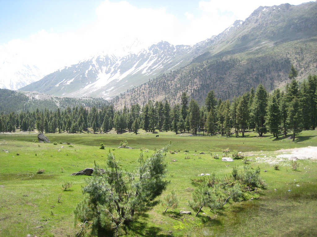 Astore Valley Pakistan - Beauty Of Gilgit Baltistan