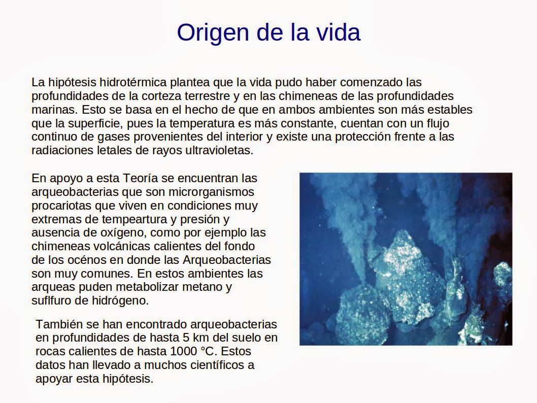 Café y Biología: Lección 12 origen de la vida