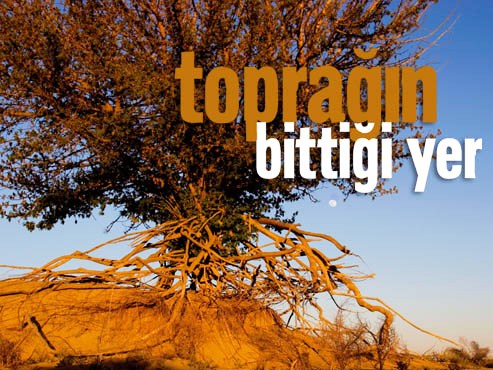 Erozyon: Akıp Giden Topraklar 4.Sınıf Fen ve Teknoloji Ders Notları ...