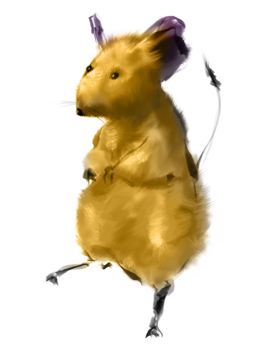 Notes from the Trail: 2011