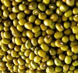 Monggo Patties (Recipe) | Read The Net