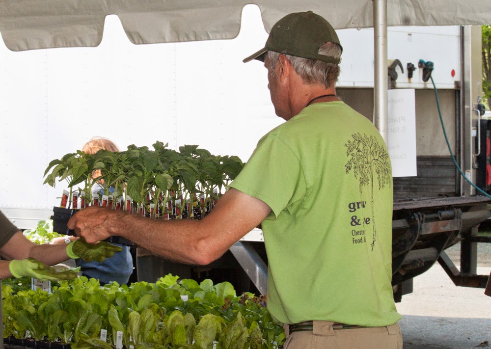 SIW Vegetables: To Market, To Market to Buy...