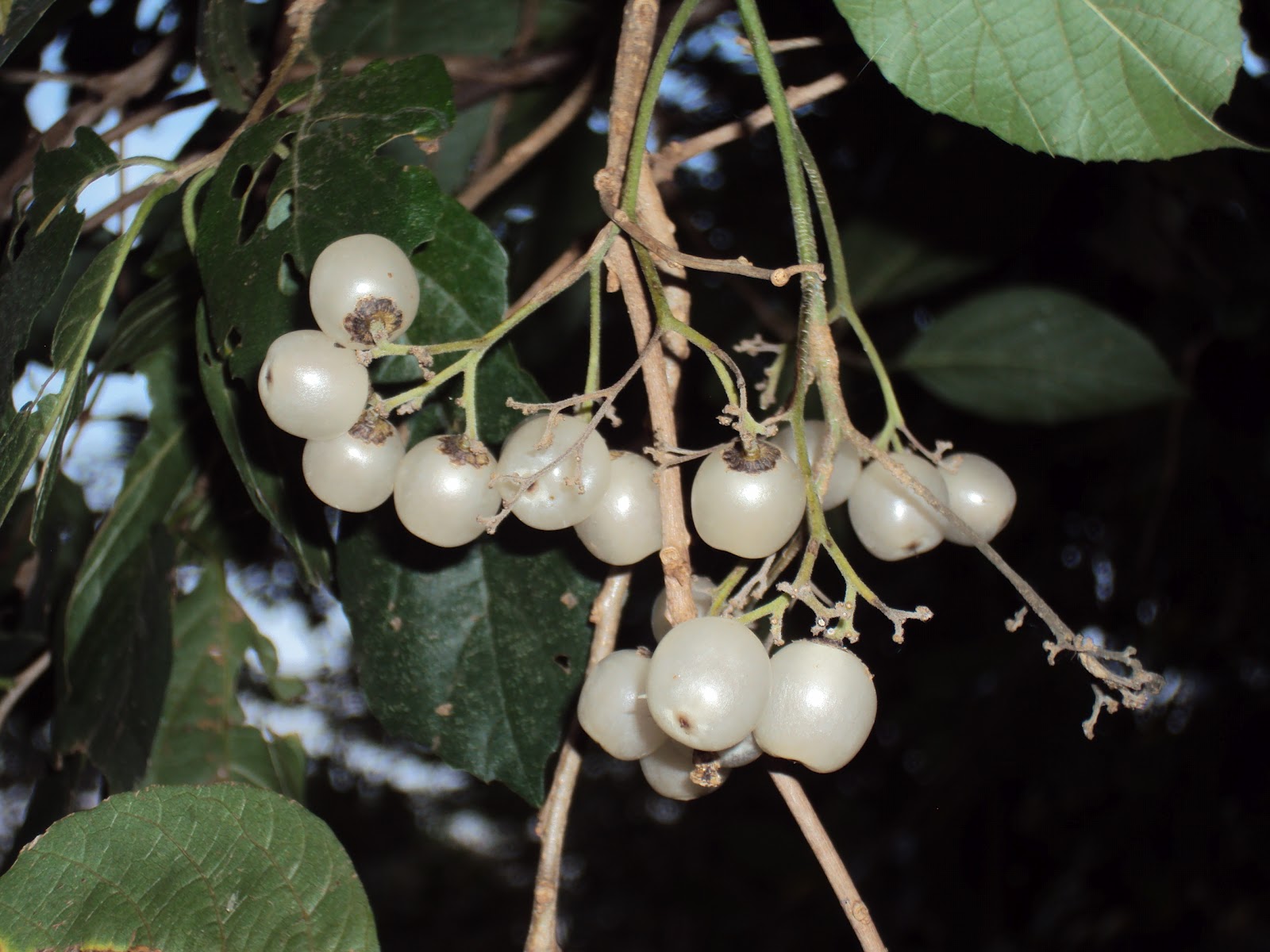 Arquitectura Sol y Arena: 03/25/12