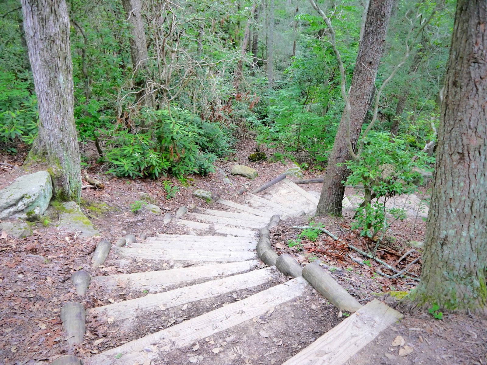 American Travel Journal: Benton Falls - Cherokee National Forest