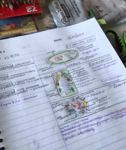 Farm Fresh Adventures: Exploring Creation With Marine Biology from ...