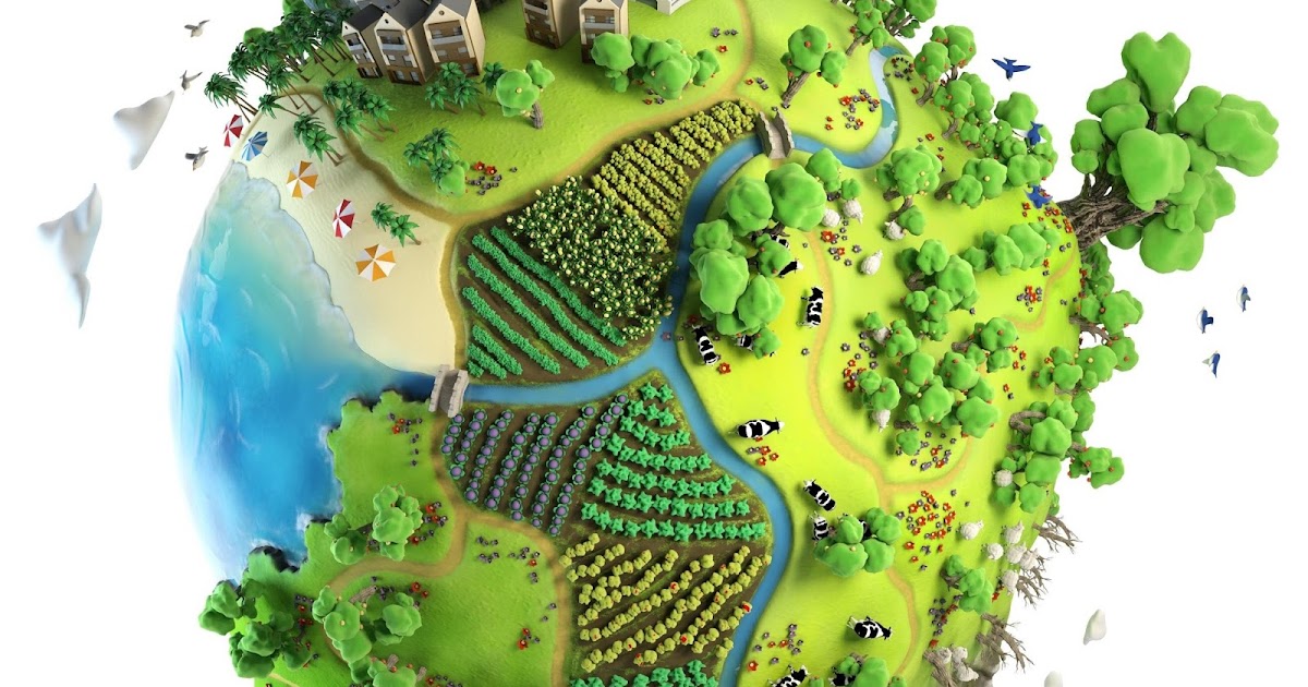 Concepto de Ecología ~ Land Ecology