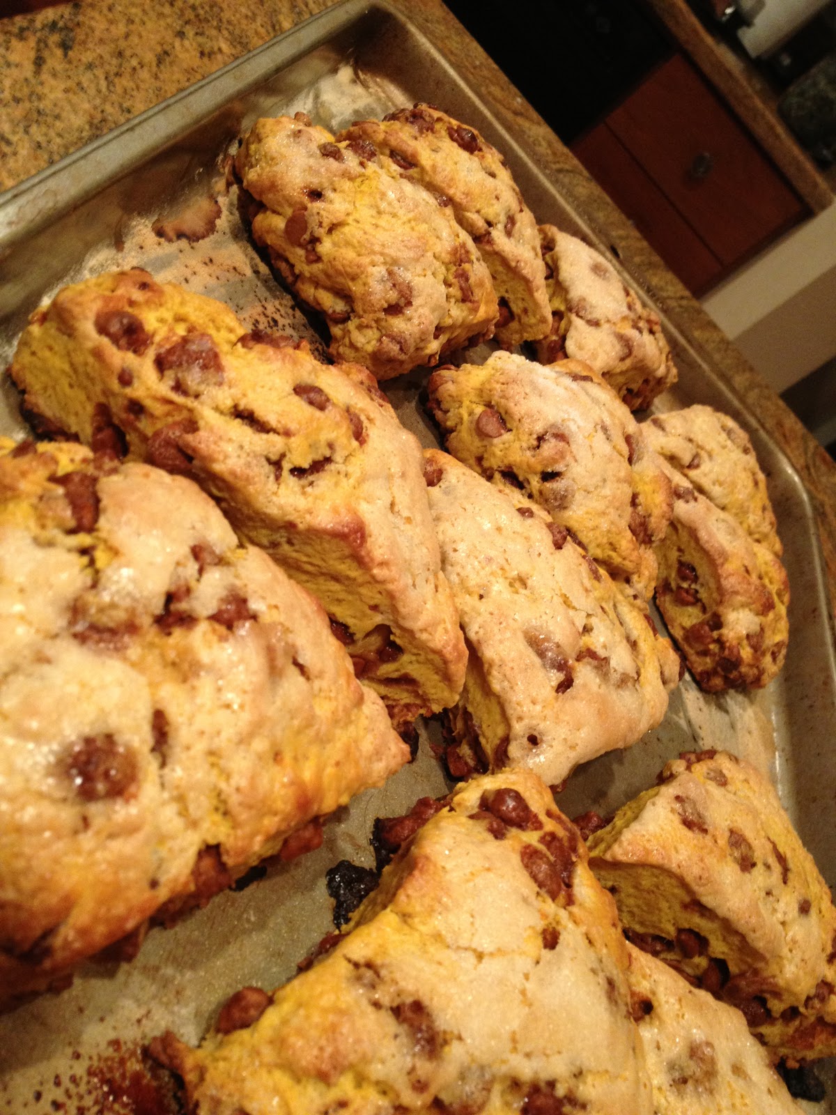 Pumpkin Scones
