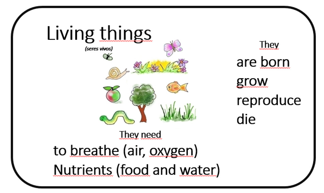 VENUS CLASS: NATURAL SCIENCE 3RD