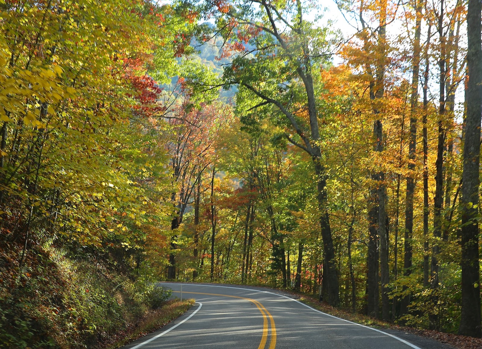 Sweet Southern Days: Parson Branch Road In The Great Smoky Mountains ...