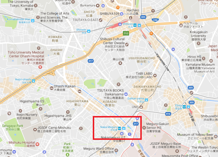 Meguro river cherry blossoms promenade