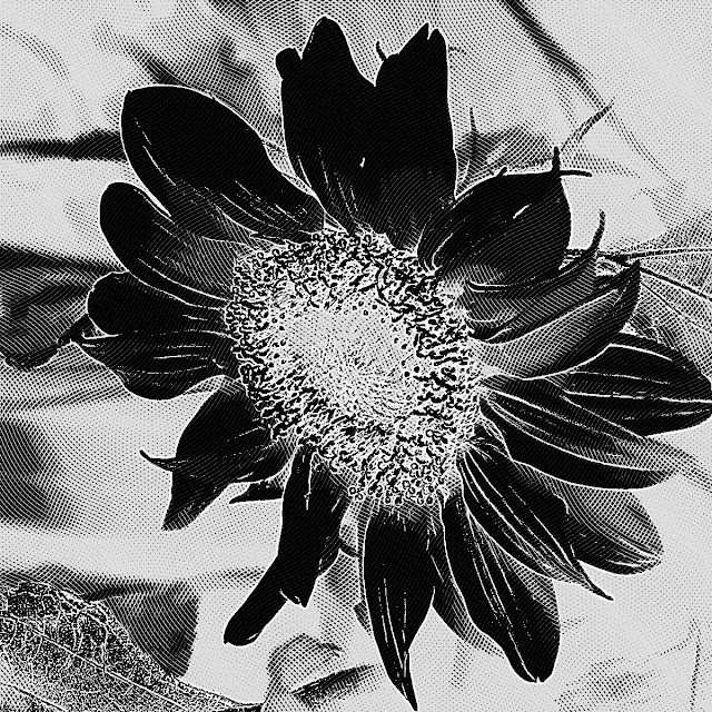 Albums 101+ Pictures Free Stock Videos No Watermark Stunning