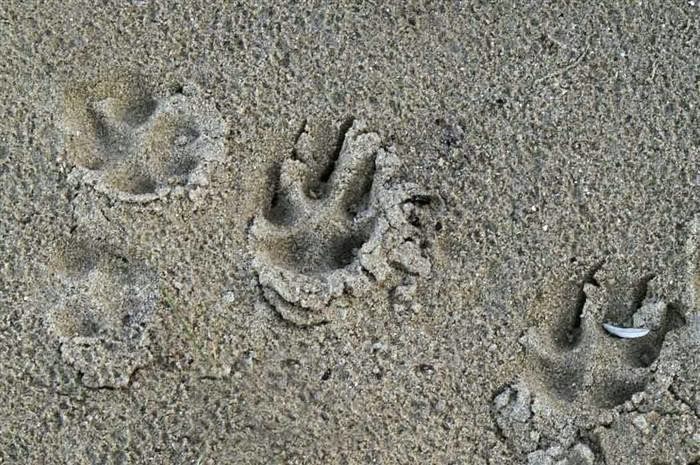 Beeldtaal hoofdstuk 4-5-6