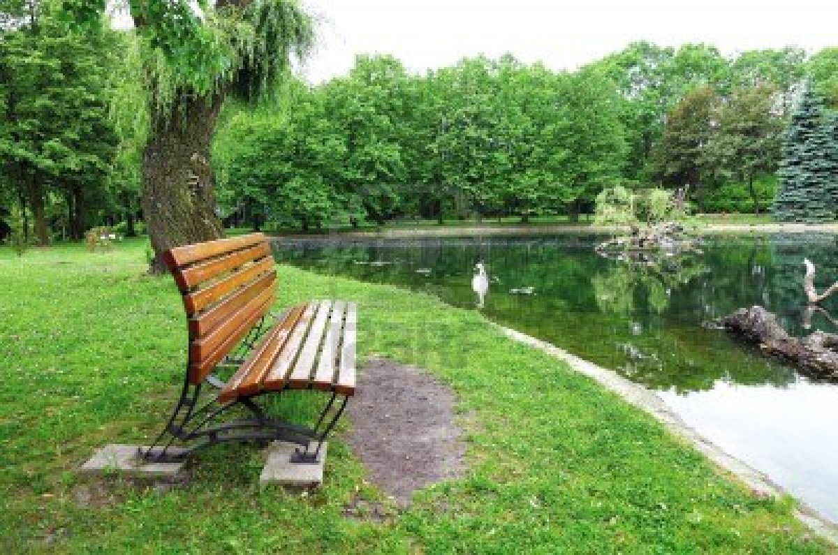 Medio ambiente limpio - Imagui