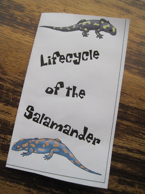 Kinder Days....: The Salamander Room FIAR Unit Study