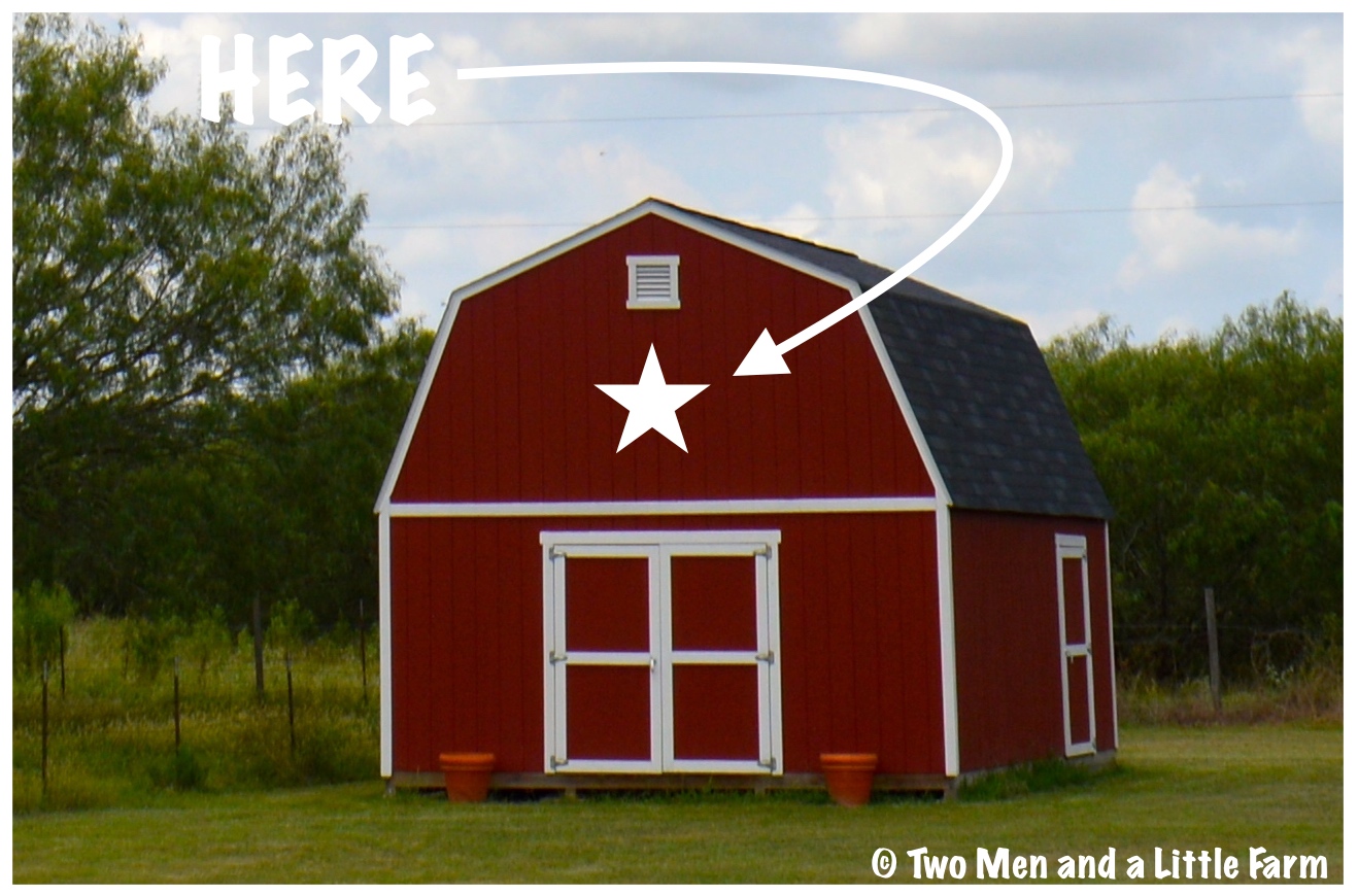 Two Men and a Little Farm: STARS ARE PAINTED