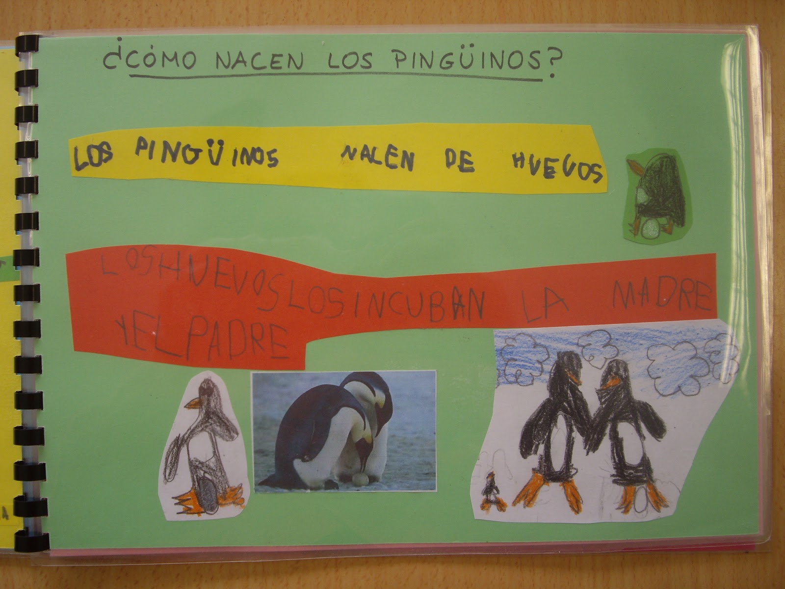 infantilvillaespesa: LOS PINGUINOS