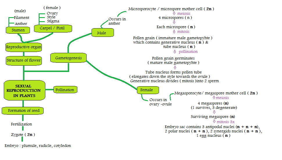 ACADEMIC ZONE: BIOLOGY ZONE