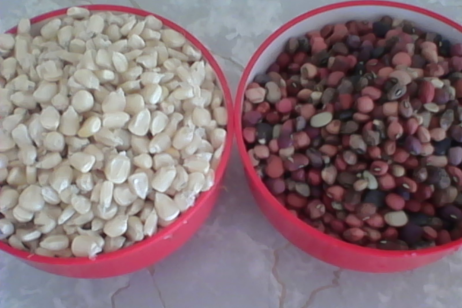 The AFRICAN Menu: TODAY ON THE AFRICAN MENU,(MAIZE AND AFRICAN BEANS)
