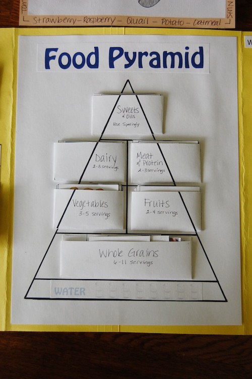 Learning 4 Fun!: Food Lapbook