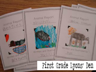 First Grade Lyons' Den: Animal Research Reports