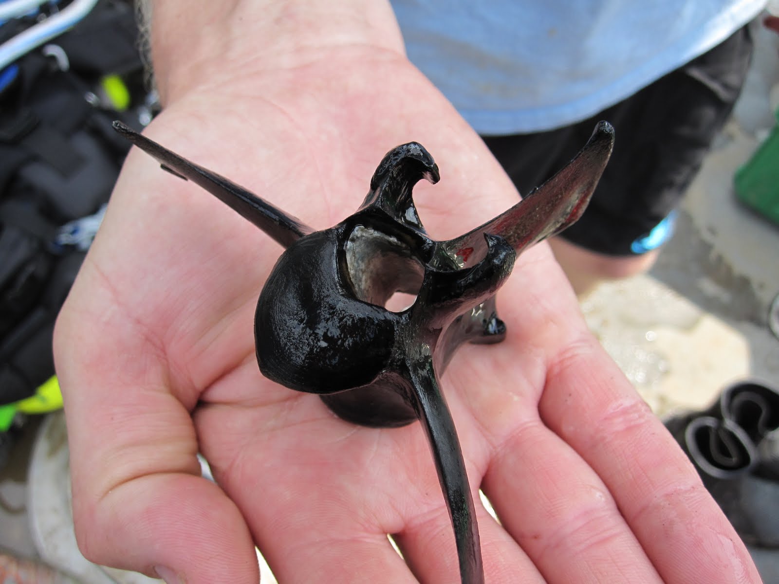 Search for the USS Scorpion: Already on the Wreck