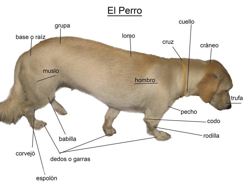 Fotografia : 1. FUNCIONES DE LA COMUNICACIÓN VISUAL